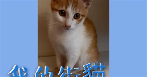 📁 🙈 🙉 🙊 Css Word Wrap