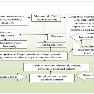Nutrition conceptual framework (adapted from UNICEF) (Source: Lancet ...