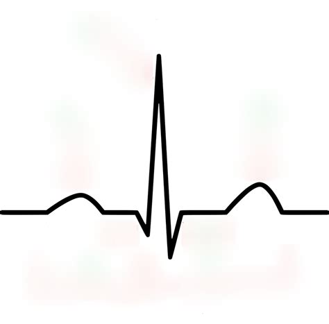 Ecg Waveform Diagram Quizlet