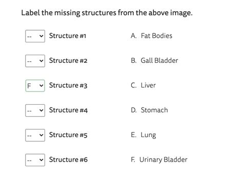 Solved 6 5 3 Label The Missing Structures From The Above Chegg Com