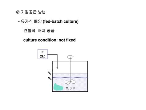 Ppt 6 발효공학 Powerpoint Presentation Free Download Id3049424