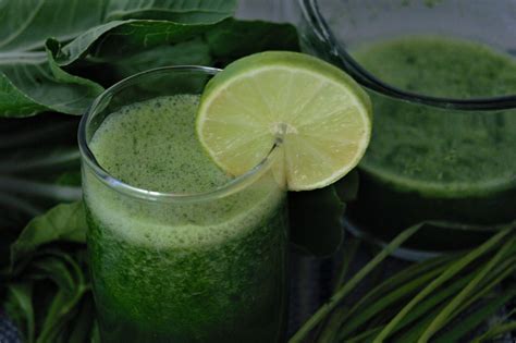 Receta Para Hacer Un Jugo Verde Desintoxicante Y Quema Grasa Gastrolab