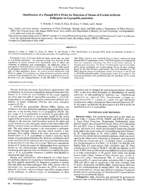 Pdf Identification Of A Plasmid Dna Probe For Detection Of Strains Of Erwinia Herbicola