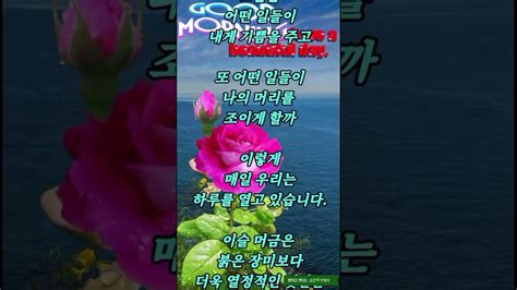 상쾌한 아침 한주의 시작 월요일 힘차게 출발해요 화이팅 Youtube