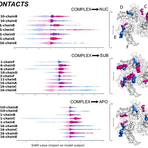 The Structure Of The Hexamer From The Complex Setup A And The Apo