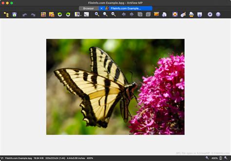 Bpg File What Is A Bpg File And How Do I Open It