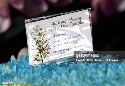 25 Suzanne Appleton Photos And High Res Pictures Getty Images