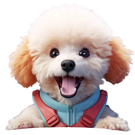 흰색 바탕에 웃는 푸들 강아지 웃는 푸들 강아지 흰 바탕 쾌활한 개 Png 일러스트 및 이미지 에 대한 무료 다운로드 Pngtree