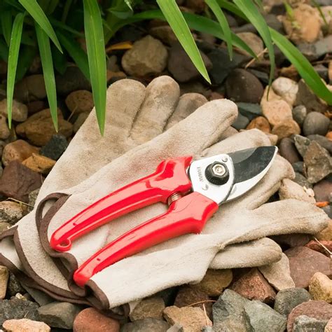 Orchard People Maintaining Your Fruit Tree Pruning Tools With Ben Cullen