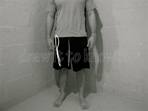 Gross Anatomy Glossary Tensor Fasciae Latae Ditki Medical