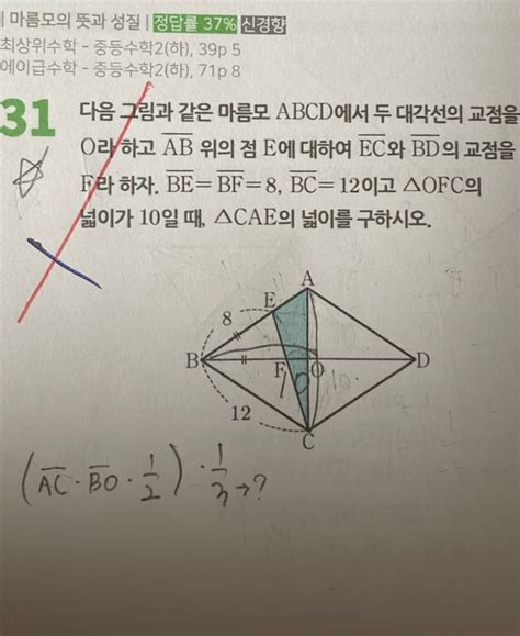 중2 수학 마름모 지식in