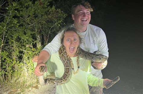 Schools Everglade Python Hunting Schools Everglade Python Hunting