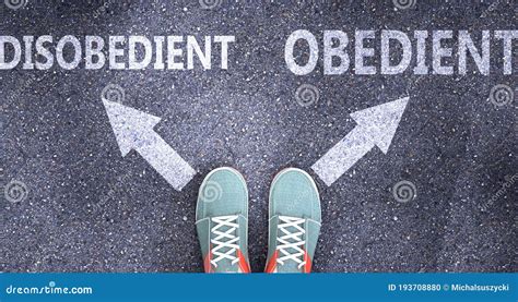 Disobedient And Obedient As Different Choices In Life Pictured As