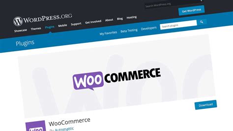 Intégration Woocommerce Définitions Marketing Guese Fr