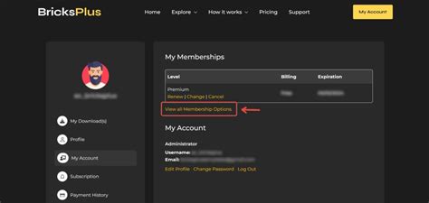 How To Install Bricks Template Bricksplus