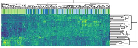 Biomarker Platform Features Sonrai Analytics