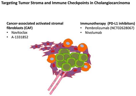 Targeting Cholangiocarcinoma Abstract Europe PMC