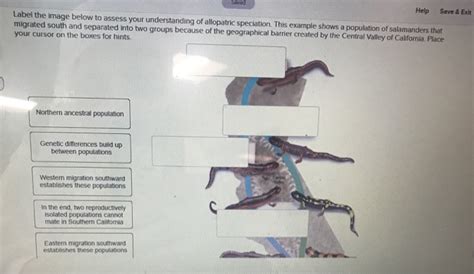 Solved Saved Help Save Exit Label The Image Below To Chegg Com
