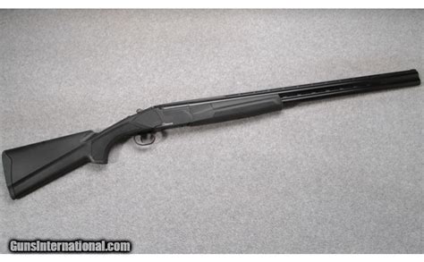 Legacy ~ Pointer ~ 20 Ga
