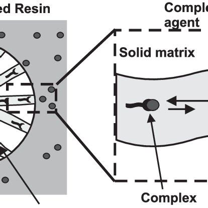Reaction Between Aldehyde And Primary Amine Download Scientific Diagram
