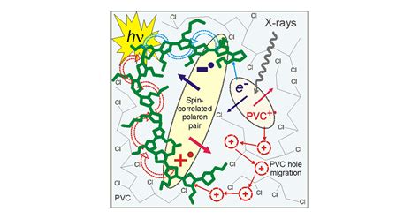 Probing An Isolated Conjugated Polymer Molecule With Radiation Generated Spin Correlated Polaron