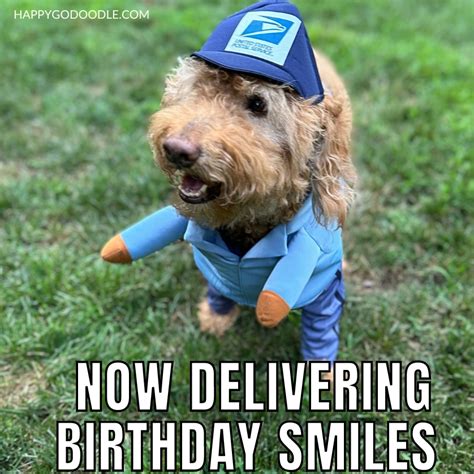 Flute Happy Birthday Meme At Isaac Macquarie Blog