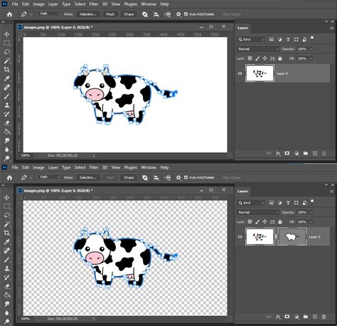 Separating An Object By Removing Background Adobe Community 11631292
