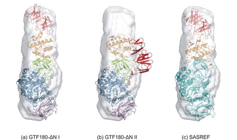 Ab Initio Constructed Low Resolution Molecular Saxs Shape Of Gtf180 N