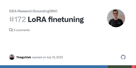 LoRA Finetuning Issue IDEA Research GroundingDINO GitHub