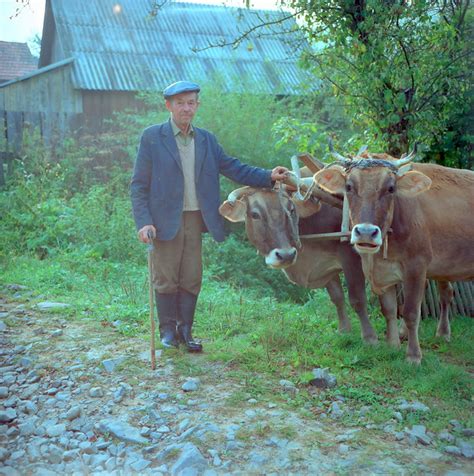 Flickriver Juri Nesterov S Most Interesting Photos