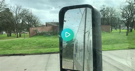 Not The Bees Album On Imgur