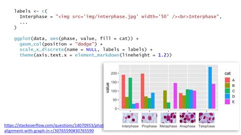 My RStudio Conf TidyDevDay Roundup Reflections