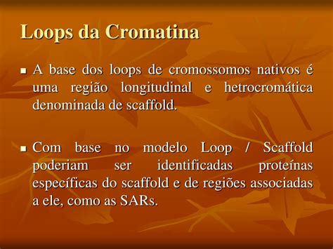 Ppt From The Chromosomal Loops And The Scaffold To The Classic Bands Of The Metaphase