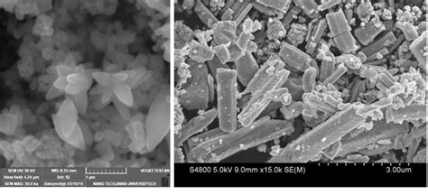 Flower Like Zno Nanostructures And Particle Embedded Zno Ais Download Scientific Diagram