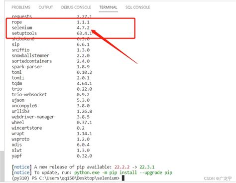 【selenium】selenium4新版本自动获取驱动的常见问题 阿里云开发者社区