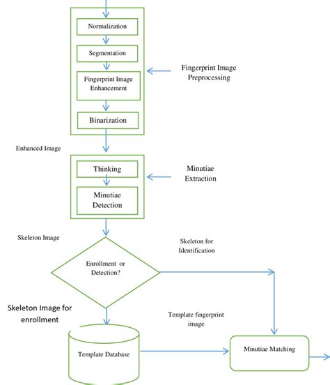 This Figure Display The Work Flow Diagram Of Fingerprint Identification