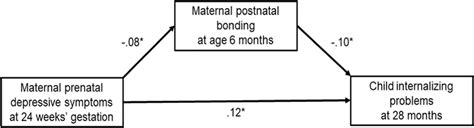 Single Mediator Model Showing The Association Between Maternal