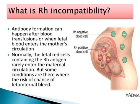 6 Rh And Abo Incompatibility Pptx