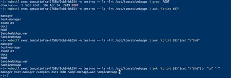 kubectl exec examples execute shell commands into a pod k8s