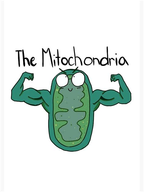 The Mitochondria Is The Powerhouse Of The Cell Green Poster For