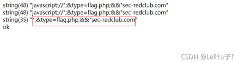filter var函数缺陷 ctf例题，附源码 ctf var 正则 csdn博客