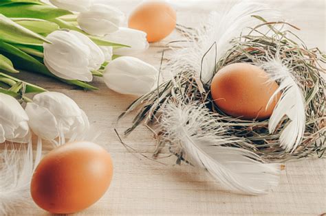 부활절 달걀 자연 봄 튤립바구니에 천연 색 달걀 해피 부활절 장식의 나무 탁자 배경에 흰색 깃털 축하 부활절 디자인 계절에 대한 스톡 사진 및 기타 이미지 Istock