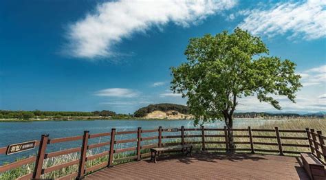 양양 출신 연예인 프로필 모음 아이돌 가수 배우 여배우 남배우 여자 배우 남자 배우 남자 연예인 여자 연예인 여가수 남가수 야구선수 축구선수 개그맨