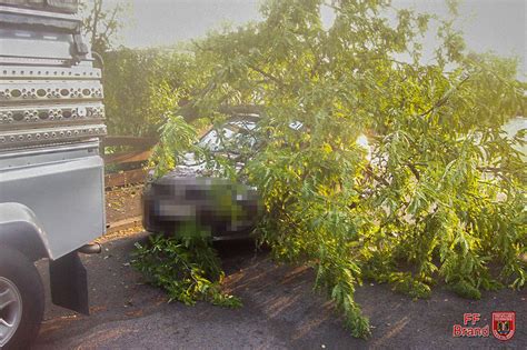 Baum auf Auto – Freiwillige Feuerwehr Brand