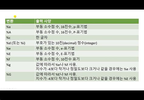 47 Printf 함수의 변환 지정자들 Conversion Specifiers