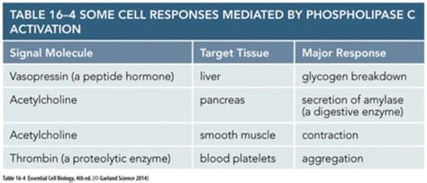 Chapter 16 Part 2 Flashcards Quizlet