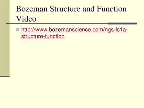 Cell Structure and Function - ppt download