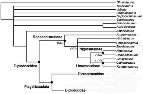 Strict Consensus Tree Showing Hypothesized Phylogenetic Relationships Download Scientific