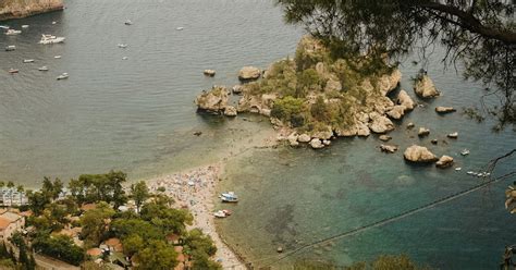 나무와 물로 둘러싸인 작은 섬 사진 Unsplash의 바닷가 이미지