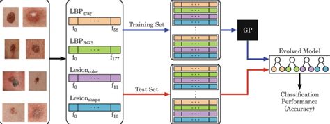 The Overall Algorithm Download Scientific Diagram